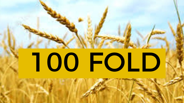 30-60-100 Fold Offering $100 – PTPMIN