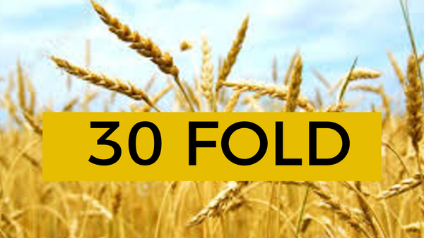 30-60-100 Fold Offering $30 – PTPMIN